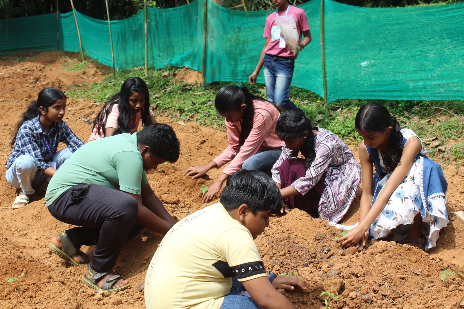 Cultivating Future Sustainability: How School Nutrition Gardens Can ...
